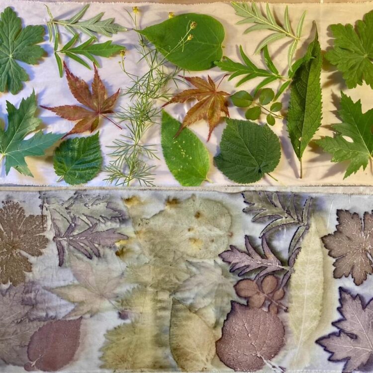 Adult Classes – Textile Center