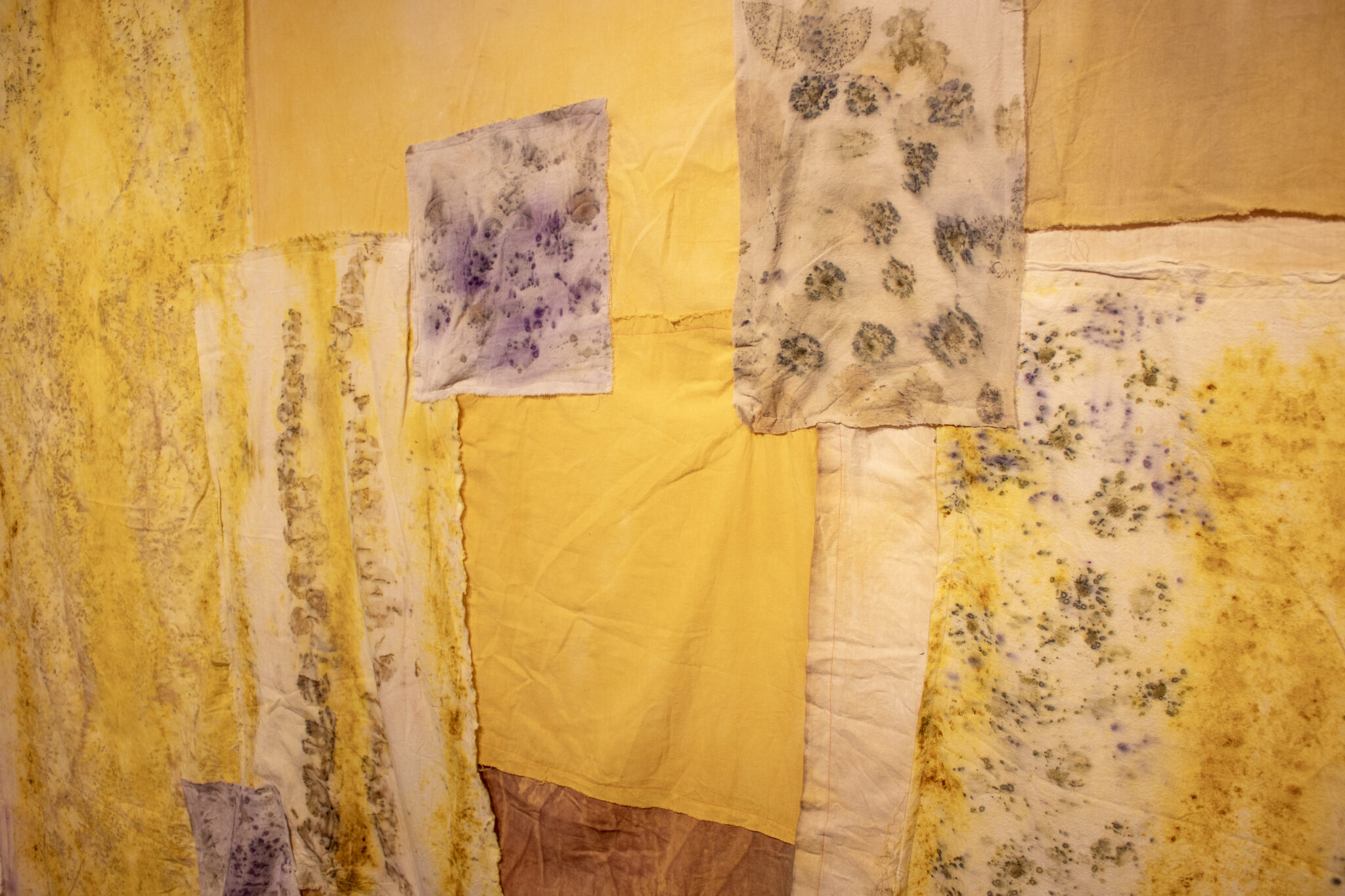 Archive II: Regeneration – Virtual Exhibition – Textile Center